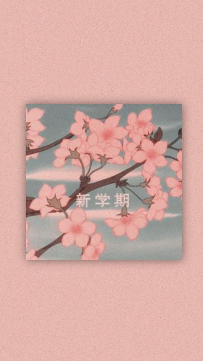 Sakura, cherry, cherry blossom, cherry tree,... by rubberrubber